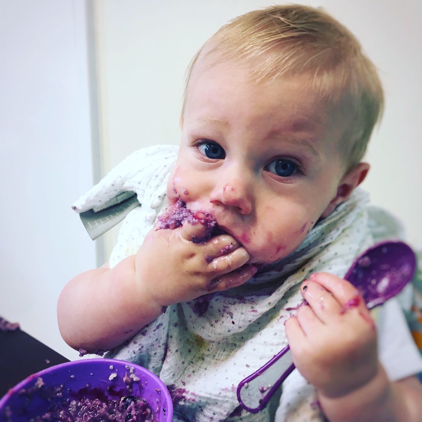 Powerful Purple Porridge - The Endo Fertility Specialist